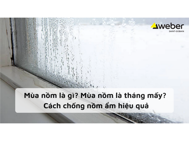 Nồm là gì? Trời nồm vào tháng mấy? Cách chống nồm ẩm hiệu quả